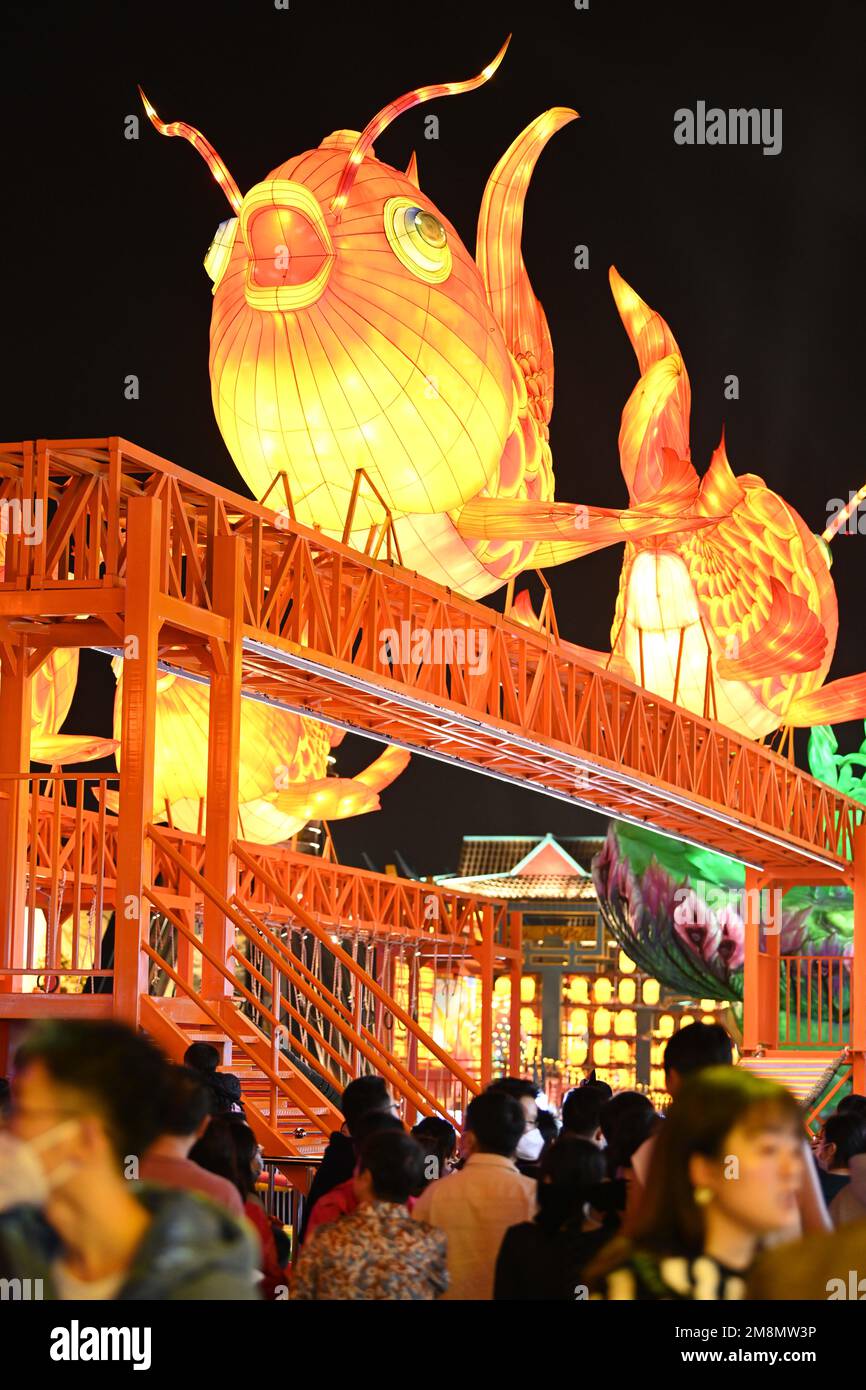 NANNING, CHINE - le 14 JANVIER 2023 - Un grand nombre de citoyens ...