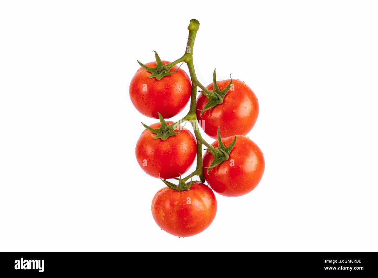 Tomate verte sur vigne Banque d'images détourées - Alamy