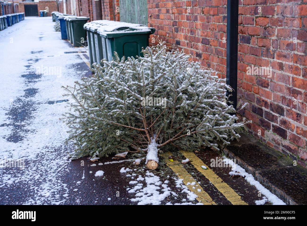 L'arbre de Noël recouvert de neige se trouve dans une voie arrière du ...