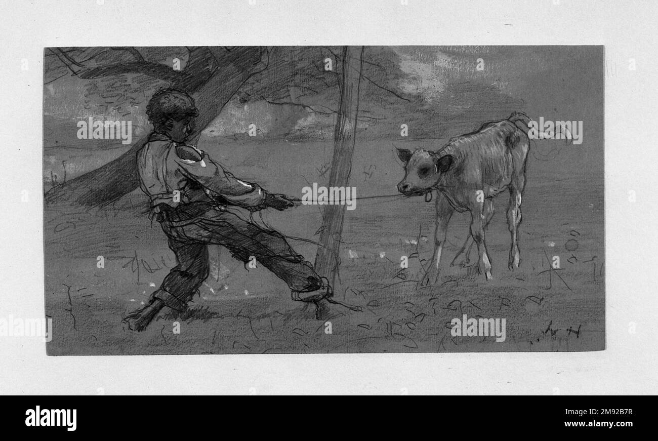 Etude pour 'The Unruly Calf' Winslow Homer (américain, 1836-1910 ...