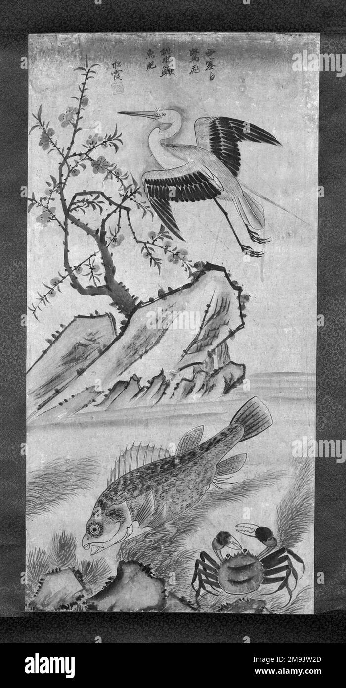 Fish crab Banque d'images noir et blanc - Alamy