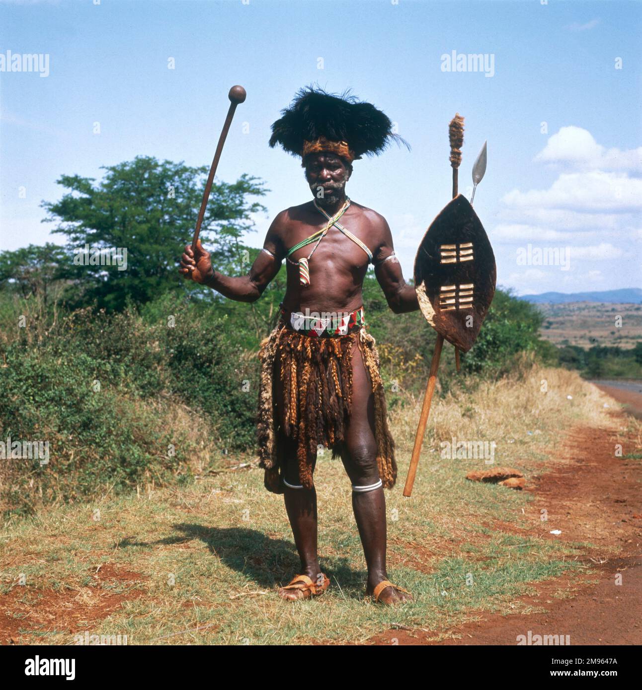 Un ancien guerrier Zulu, (photo pleine longueur) en costume natif ...