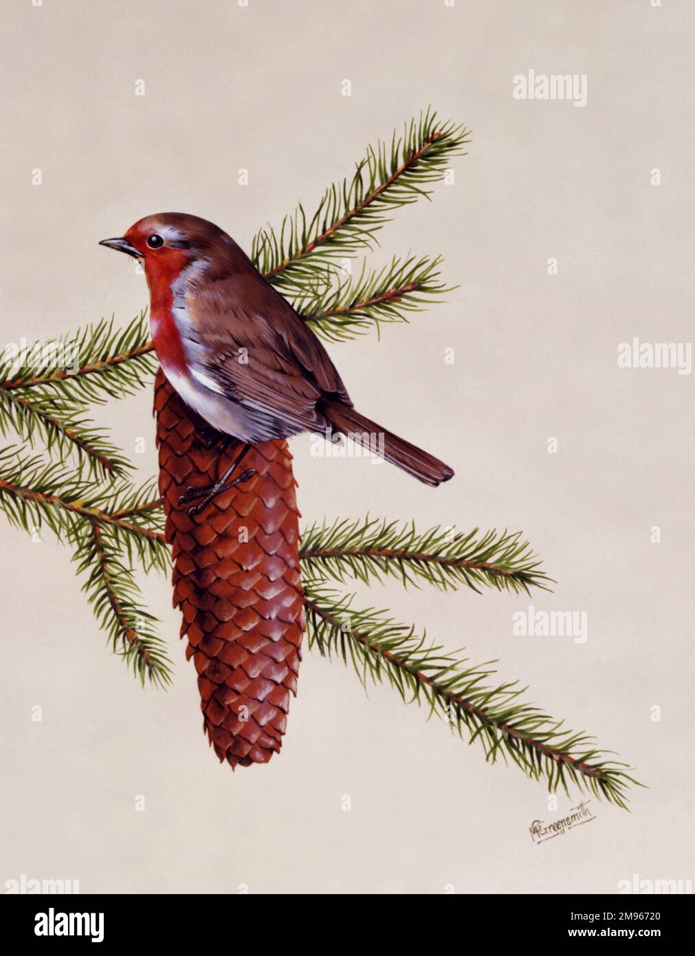 Robin malcolm Banque de photographies et d’images à haute résolution ...