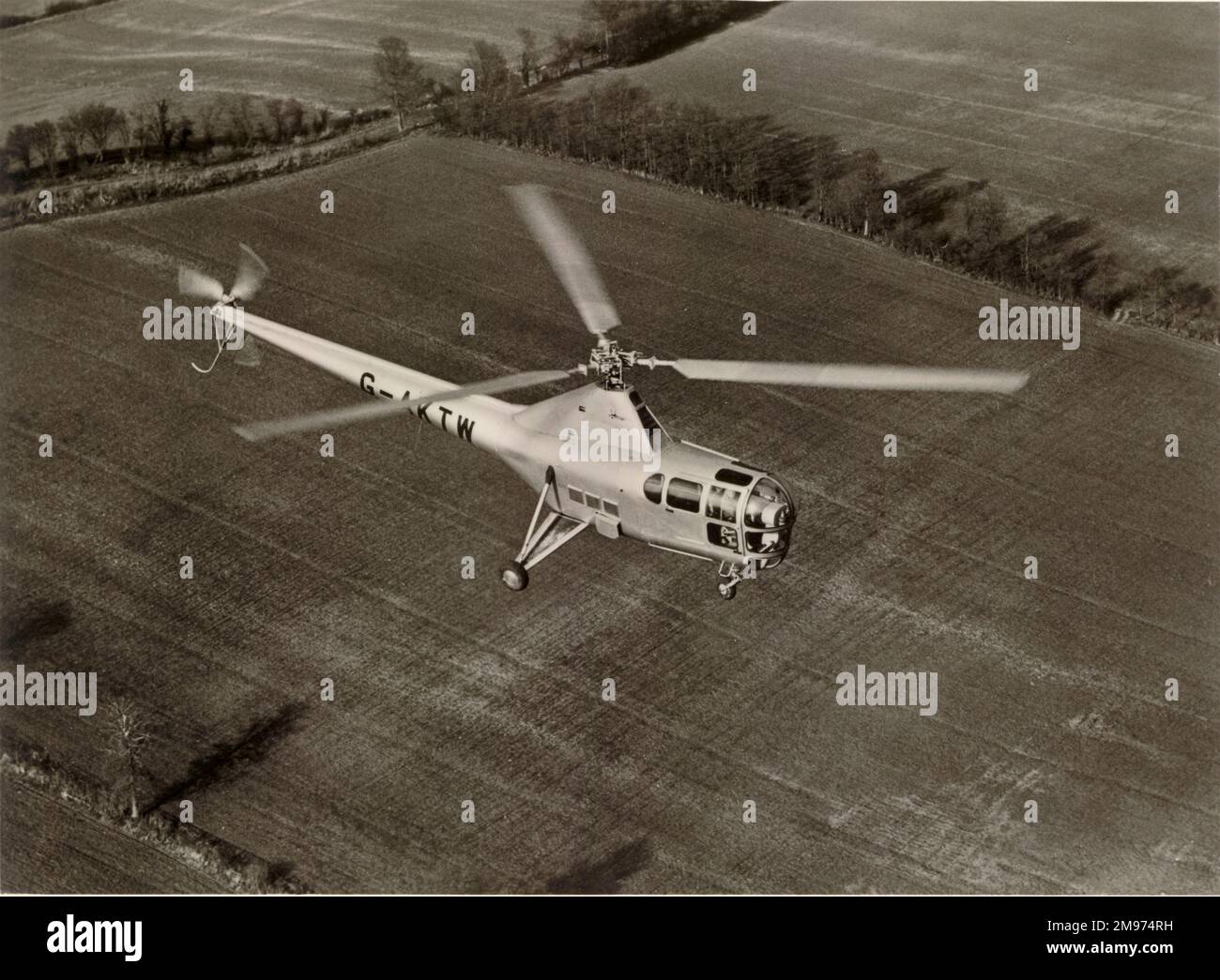 Libellule sikorsky westland Banque de photographies et d’images à haute ...