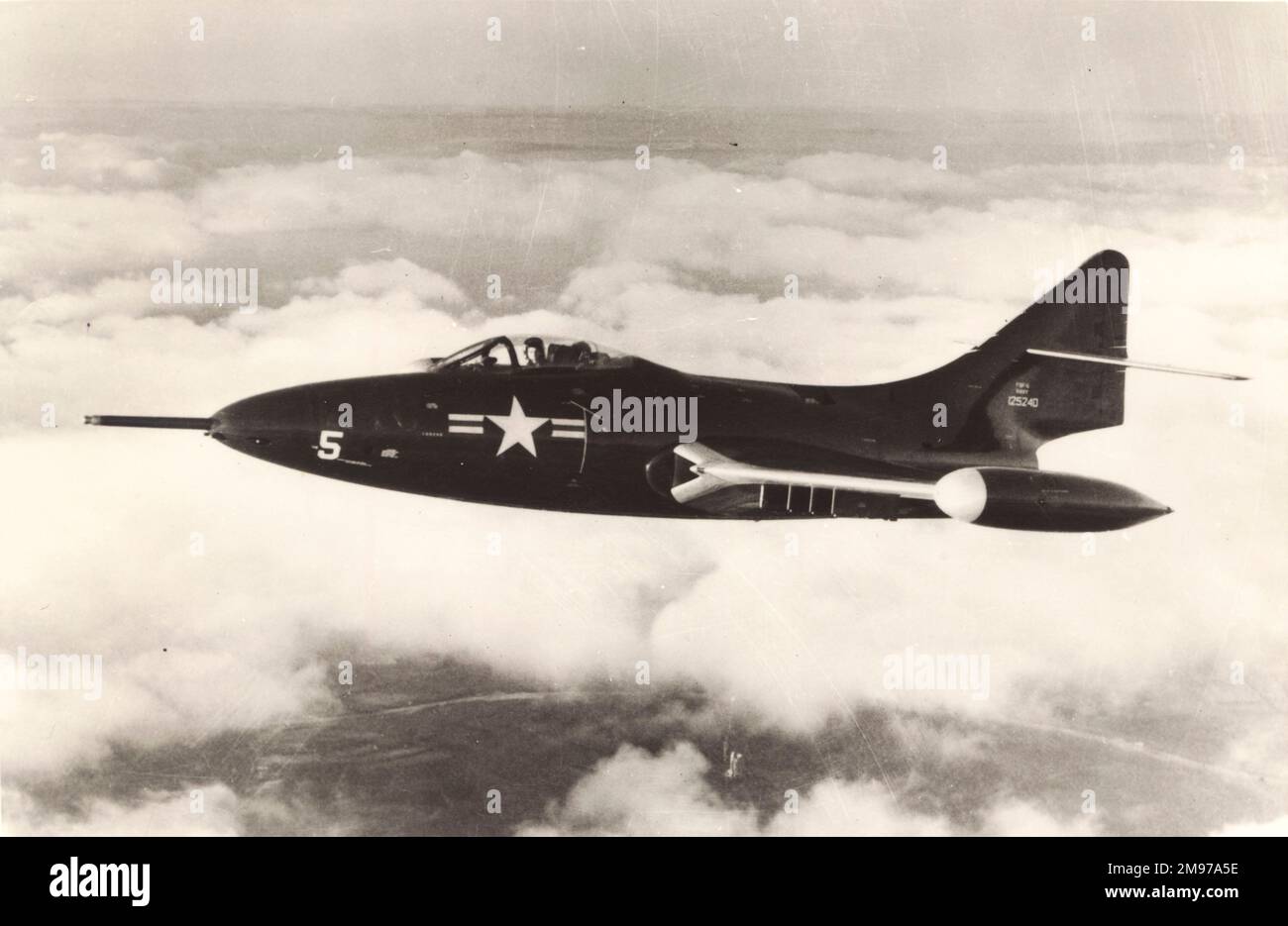 The panther Banque de photographies et d’images à haute résolution - Alamy