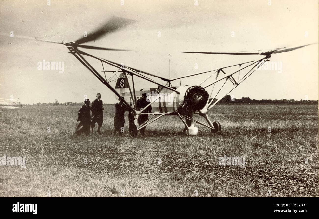Focke achgelis Banque de photographies et d’images à haute résolution ...