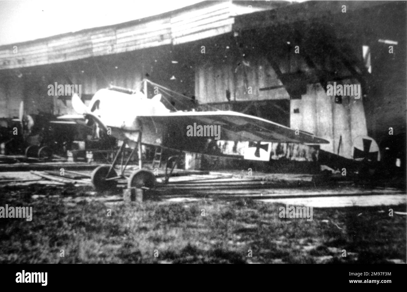 Fokker E III du pilote allemand et ace Max Immelmann (1890-1916) à ...