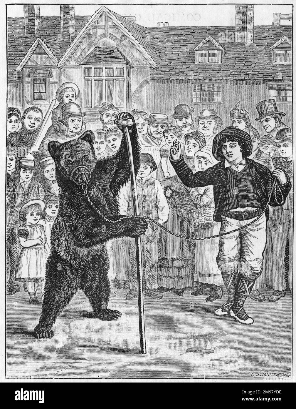Performing bears Banque de photographies et d’images à haute résolution ...