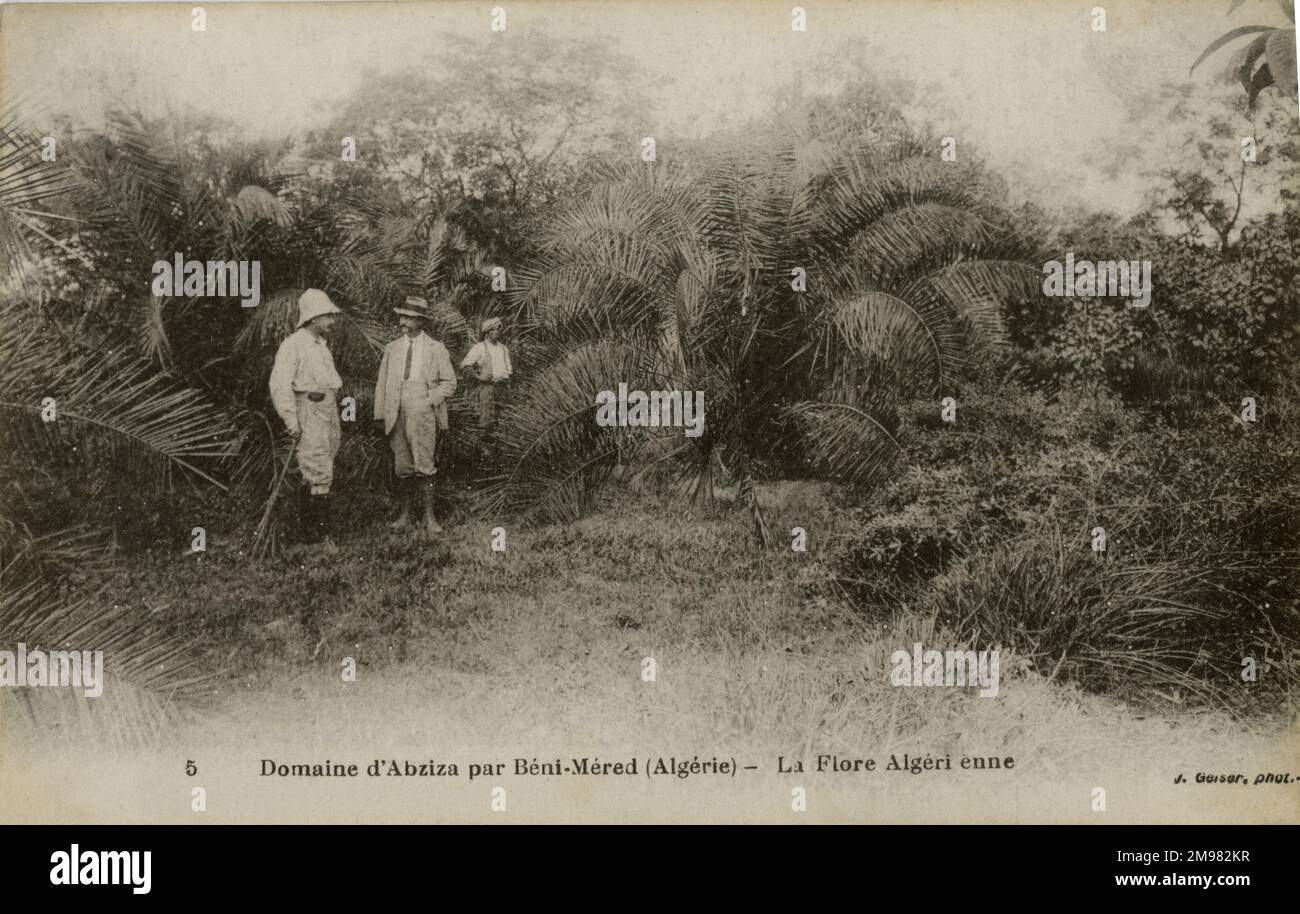 Beni mered Banque de photographies et d’images à haute résolution - Alamy