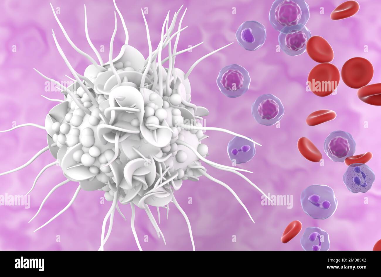 Cellule dendritique Banque de photographies et d’images à haute ...