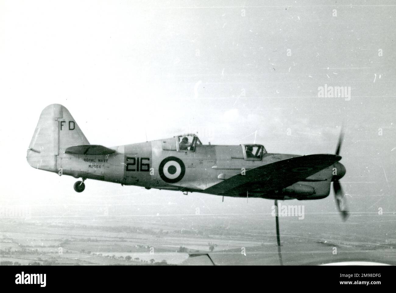 Fairey luciole Banque de photographies et d’images à haute résolution ...