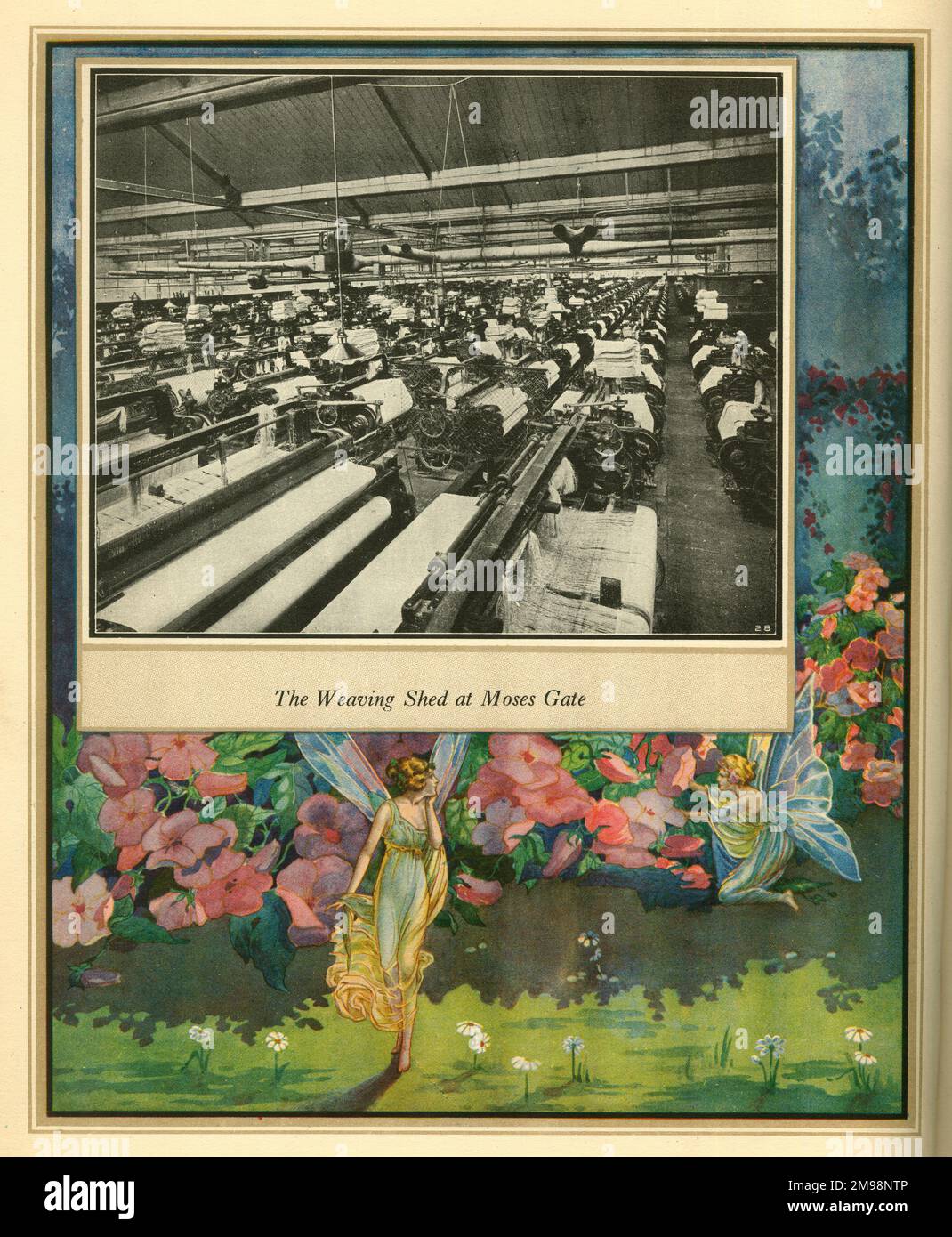 Moses gate Banque de photographies et d’images à haute résolution - Alamy