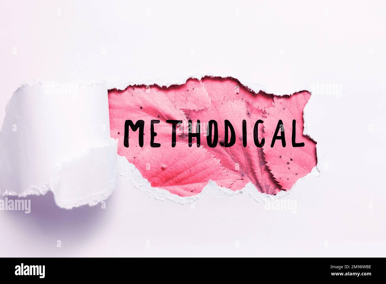 Signe de texte montrant méthodique. Mot pour système de méthodes ...