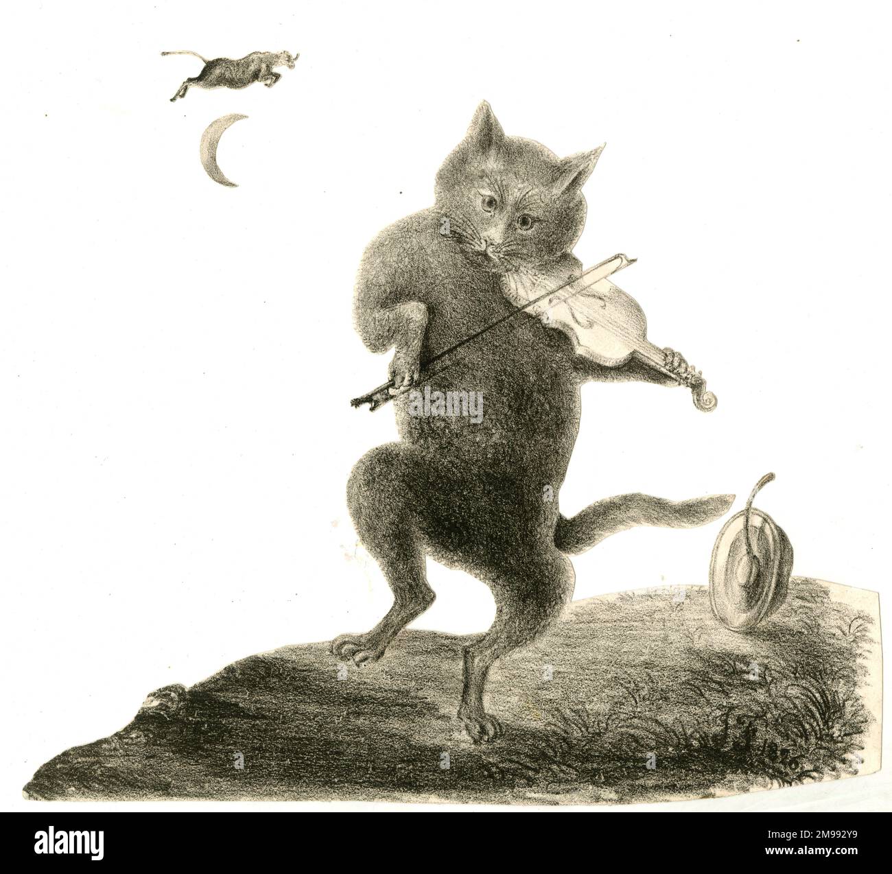 La comptine, le violon Hey, le chat et le violon, la vache sauta sur la ...