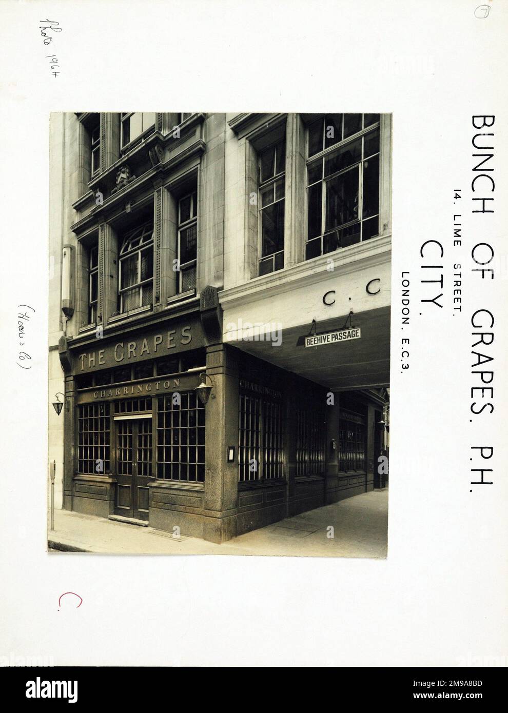 Photographie du bouquet de raisins pH, ville, Londres. Le côté ...