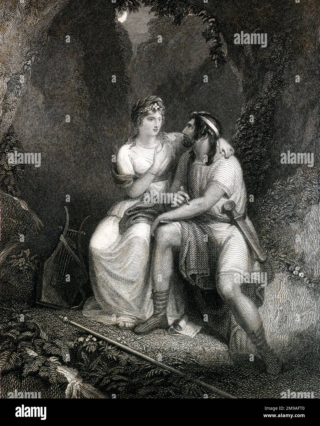 Numa pompilius Banque de photographies et d’images à haute résolution ...