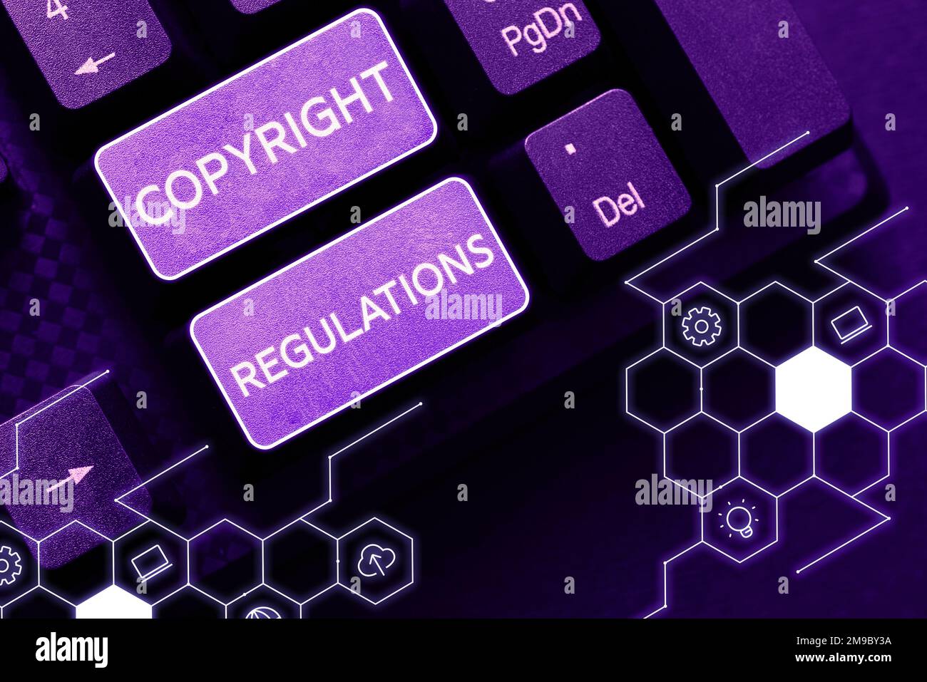Texte illustrant les réglementations sur les droits d'auteur ...
