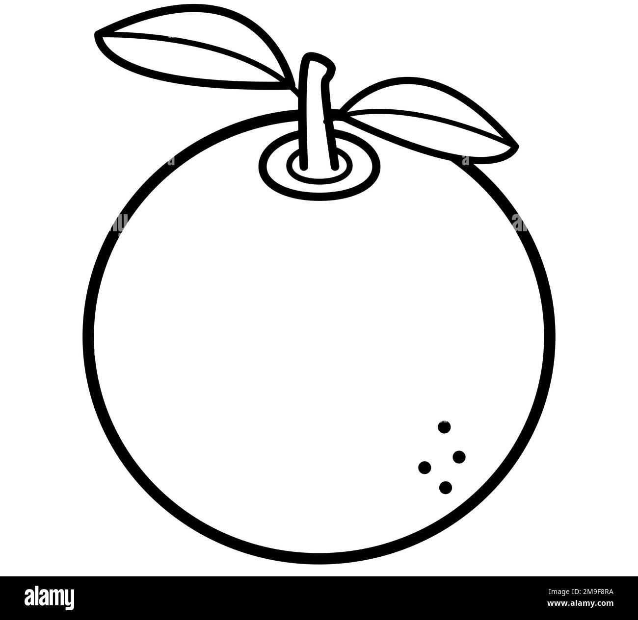 Illustration d'un fruit orange sans couleur. Dessin animé, icône orange ...