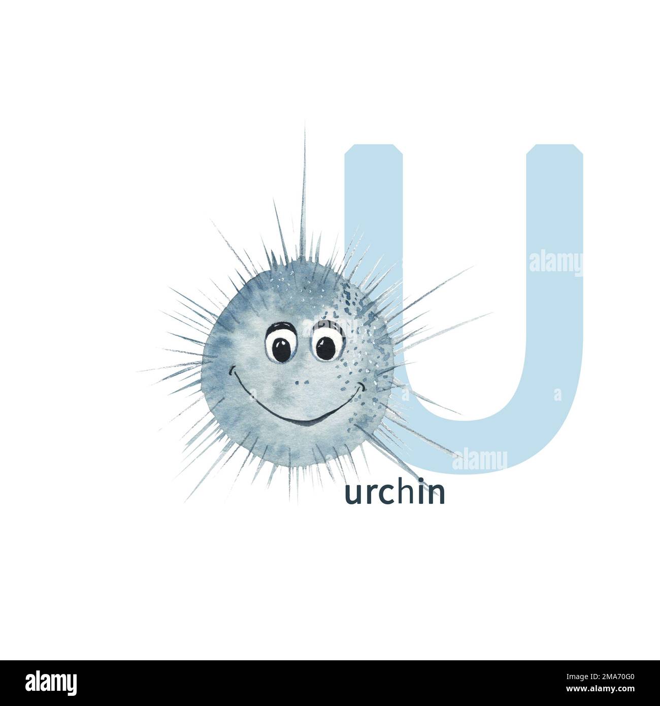 Lettre U, oursin, joli animal animaux de l'alphabet. Illustration ...
