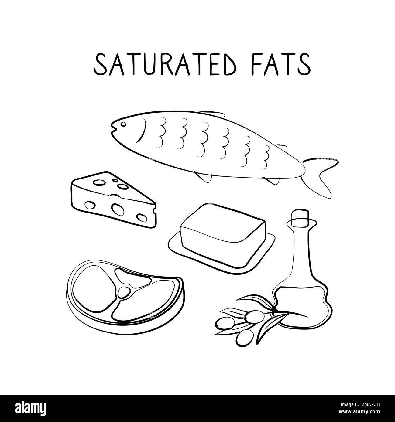 Aliments contenant des acides gras saturés. Groupes de produits sains ...