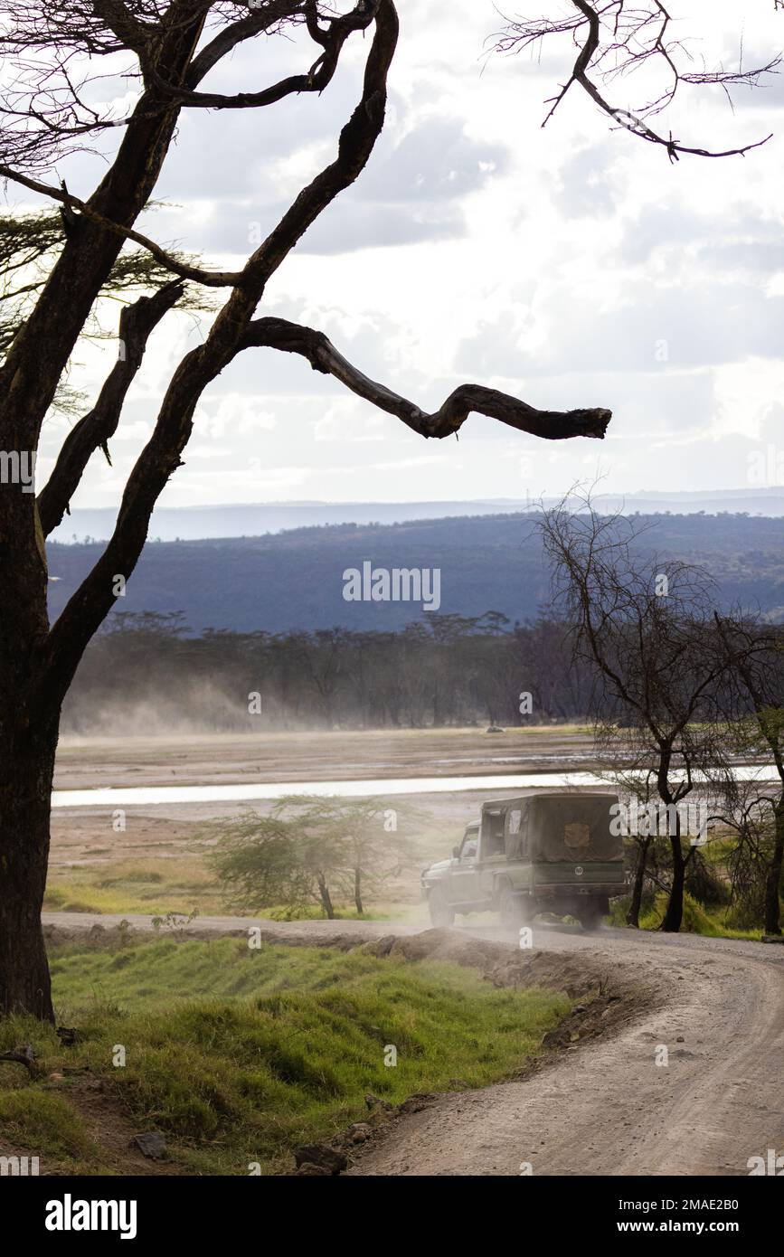 Lac nakura Banque de photographies et d’images à haute résolution - Alamy
