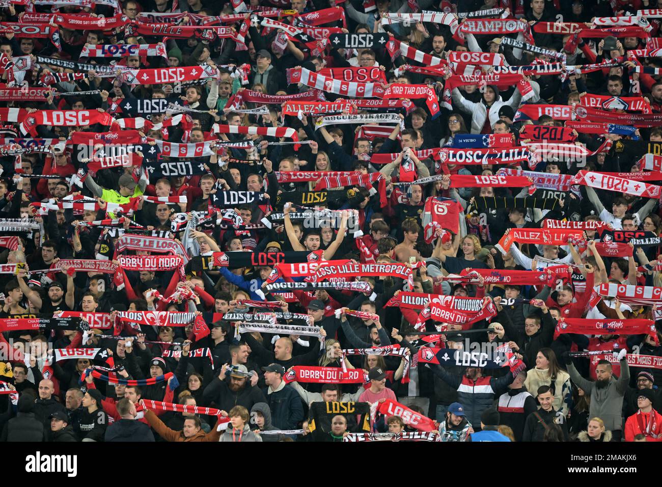 LILLE - LOSC Lille supporters lors du match de la Ligue française 1 ...