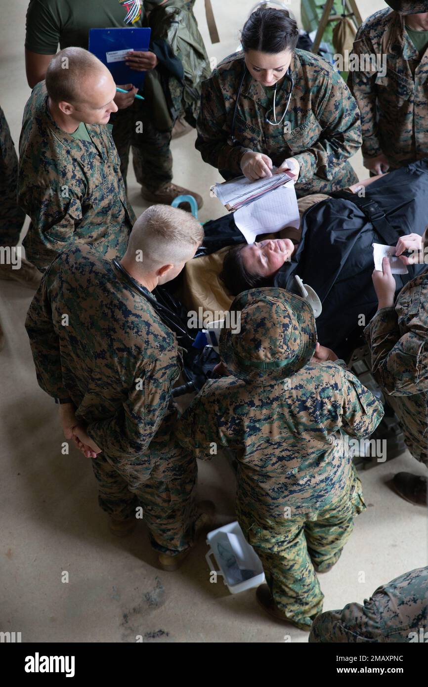ÉTATS-UNIS Des corpmen de la Marine, avec 3rd Bataillon médical, 3rd ...