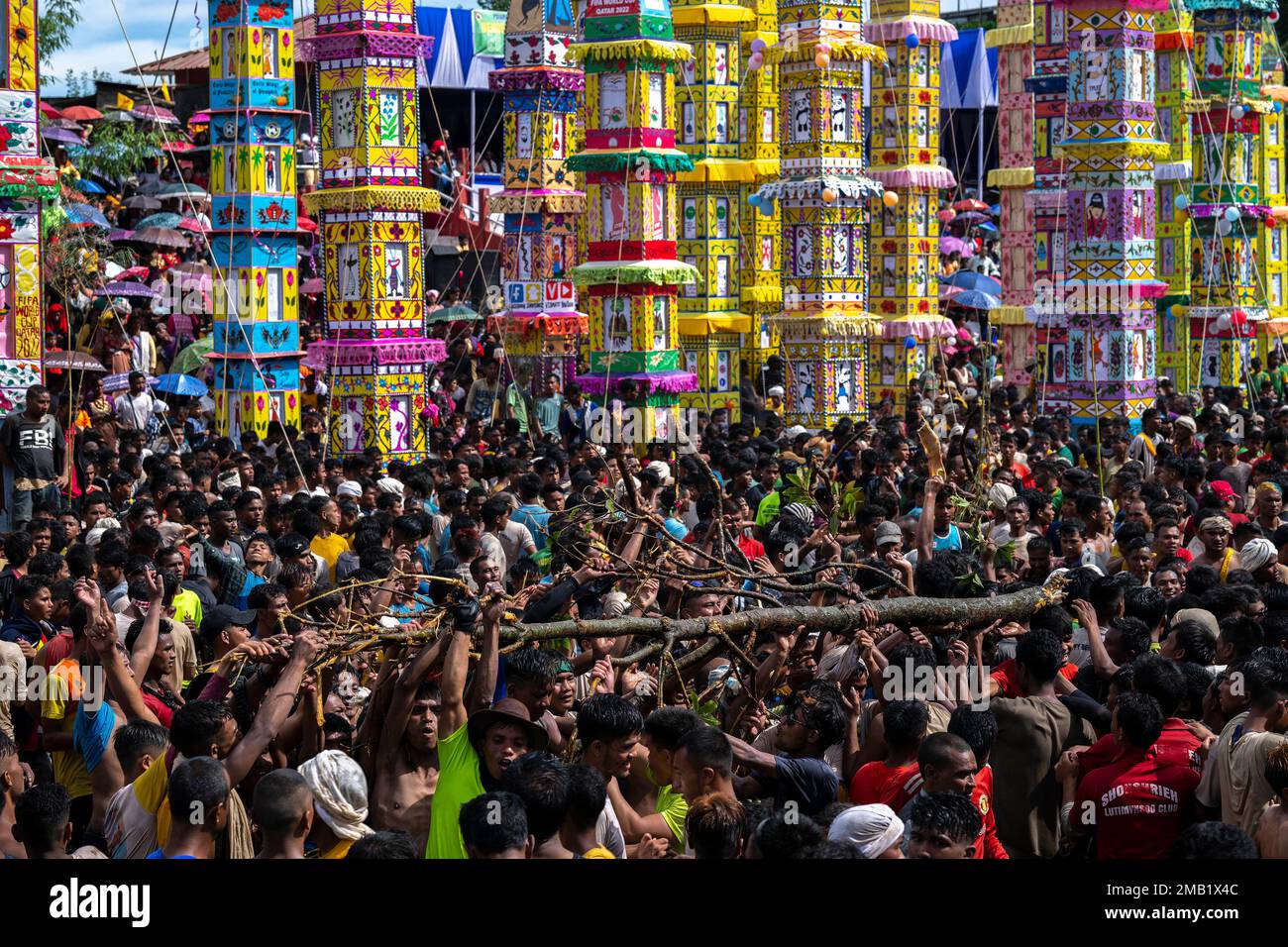 Pnar, or Jaintia, tribals carry a sacred tree over muddy waters during ...