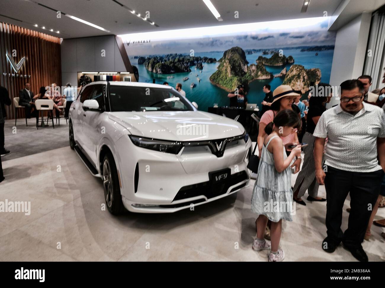 Potential customers, get a first look at the VinFast VF9 a 3-row electric SUV at the Grand ...