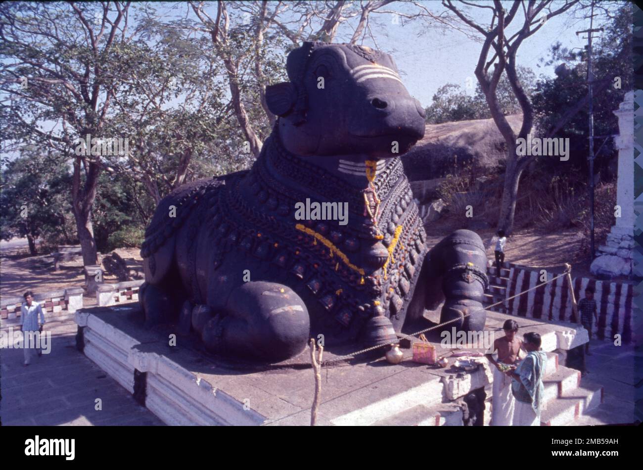 Nandi bull in chamundi hills Banque de photographies et d’images à haute résolution - Alamy