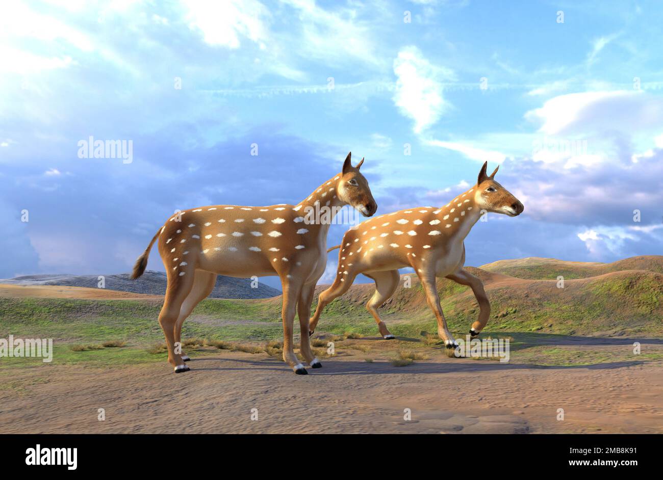 Eohippus Banque de photographies et d’images à haute résolution - Alamy