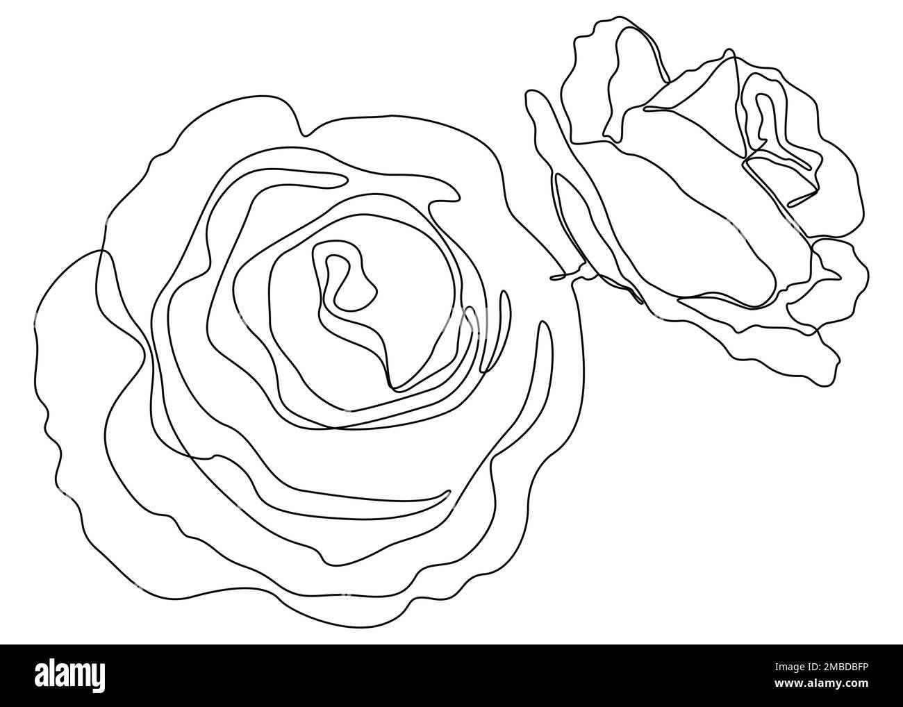 Une ligne continue de rose. Concept de vecteur d'illustration à trait ...