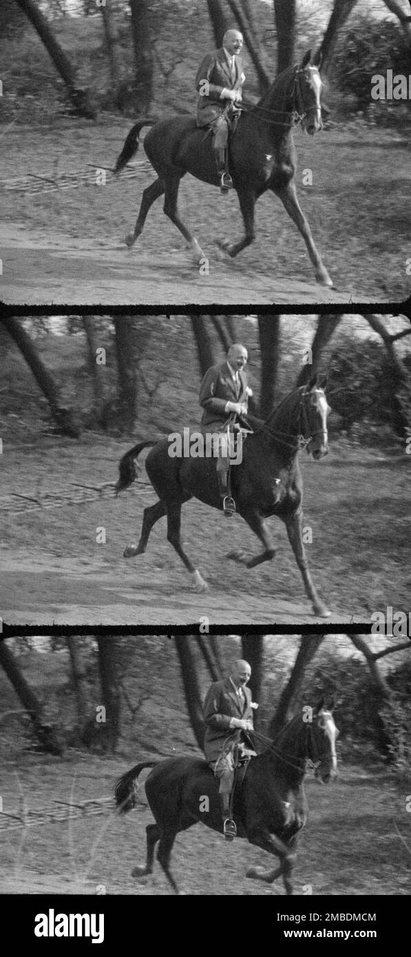 Albert rotbart Banque de photographies et d’images à haute résolution ...