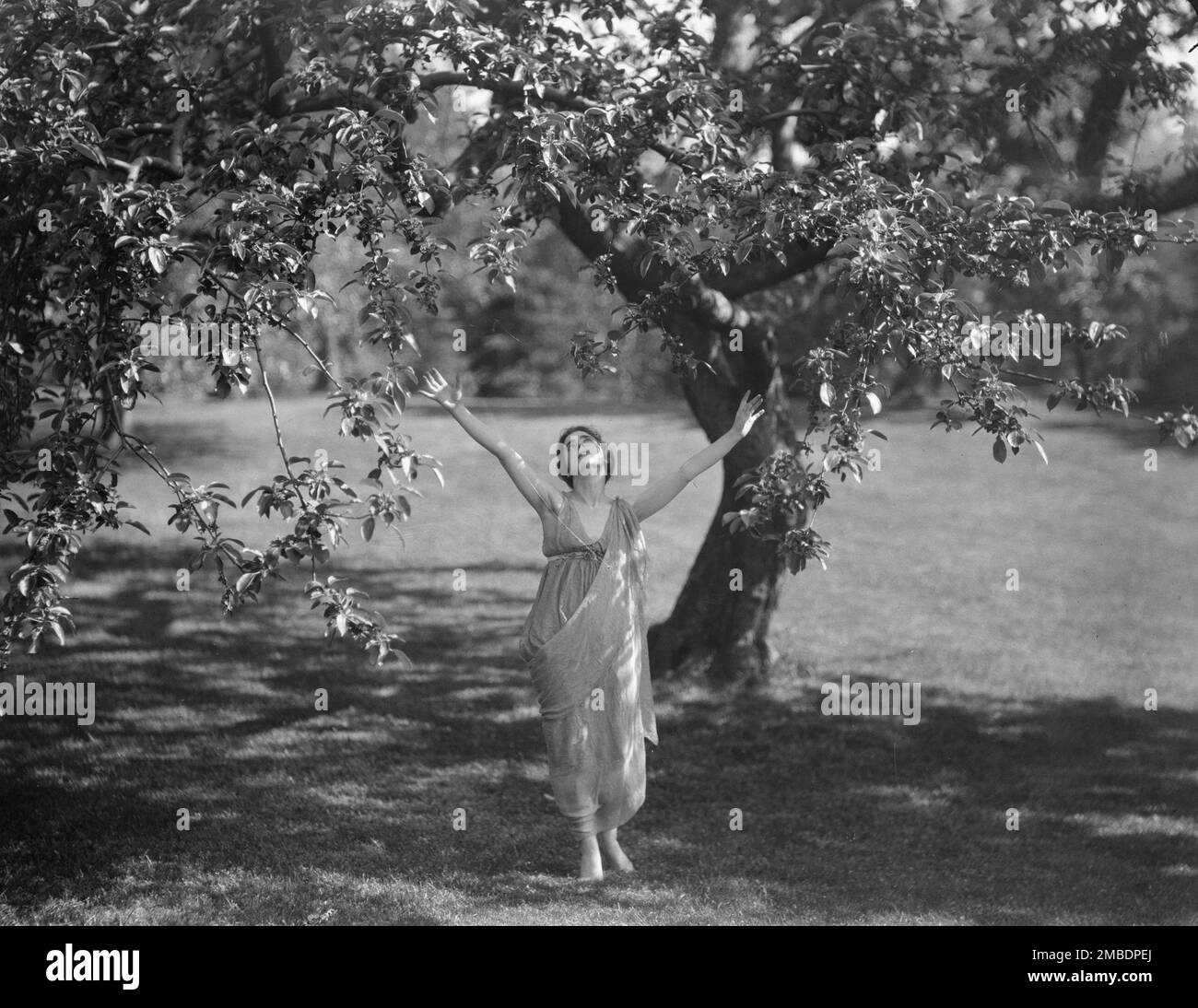 Isadora duncan dancers Banque de photographies et d’images à haute ...