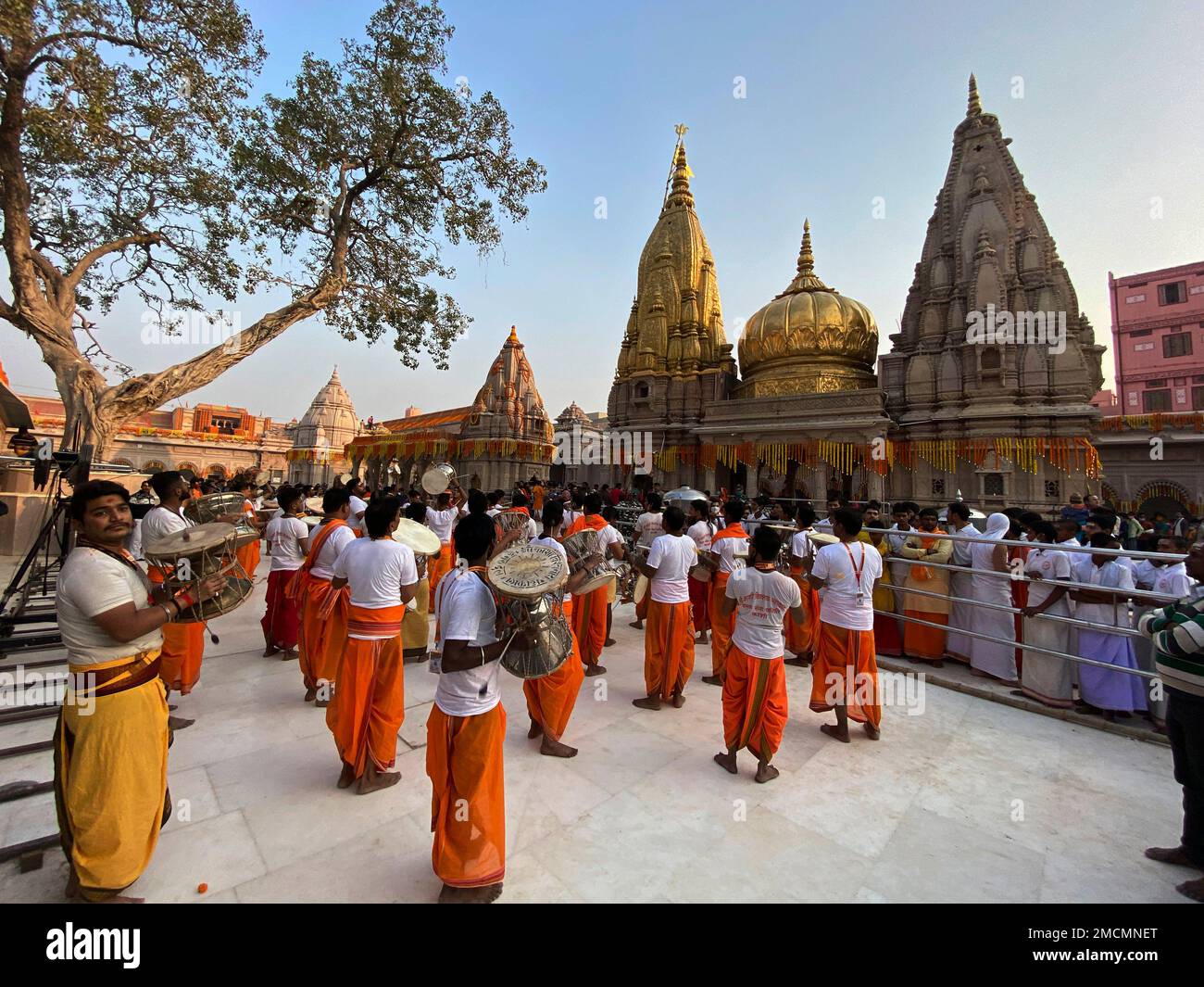 Hindu devotees play drums at the Kashi Vishwanath temple dedicated to Lord Shiva in Varanasi ...