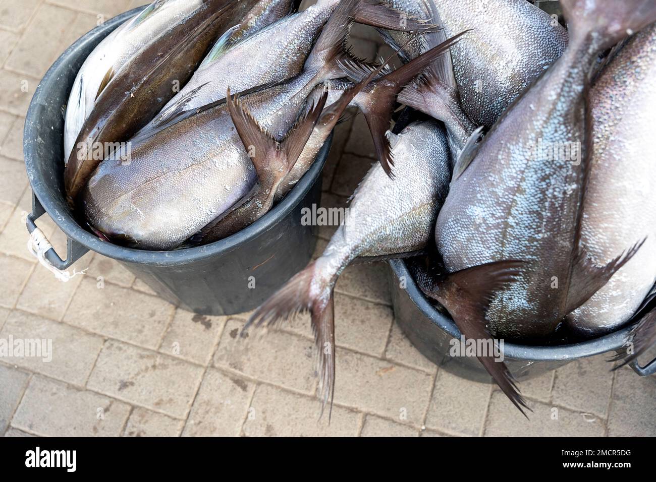 Marché poisons a praia Banque de photographies et d’images à haute ...