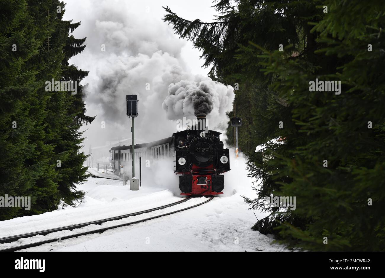 Mallel, locomotive à vapeur du Harzer Schmalsurbahn, HSB, qui monte le ...