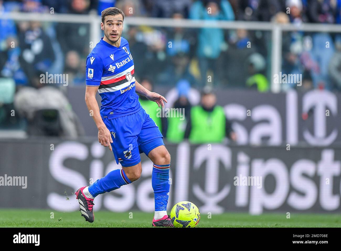 Harry udinese Banque de photographies et d’images à haute résolution ...