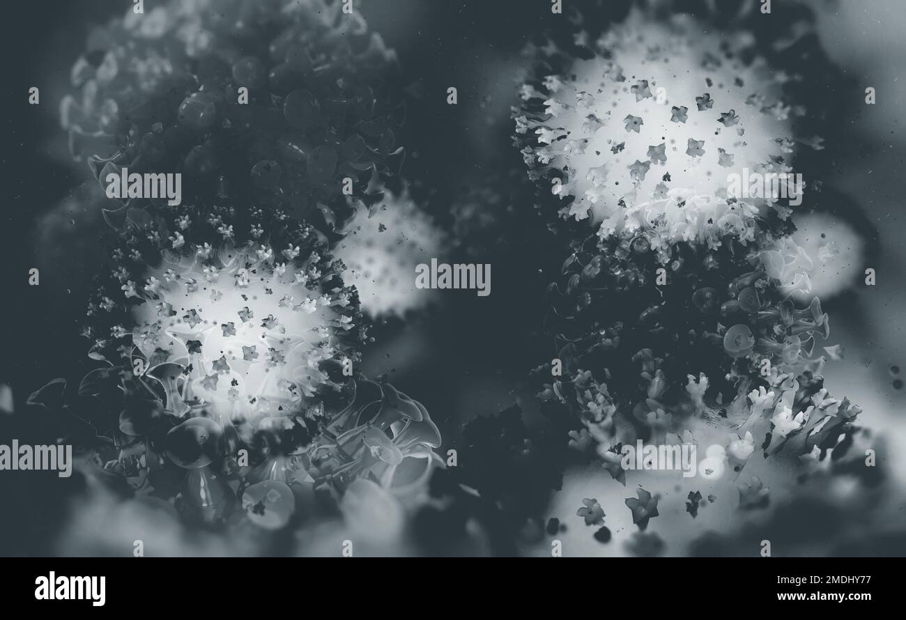 Micro organismes microscope Banque de photographies et d’images à haute ...