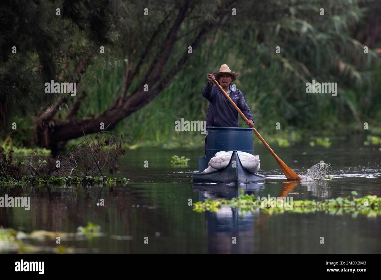 A farmer paddles his canoe to his floating farm known as "chinampa," in ...