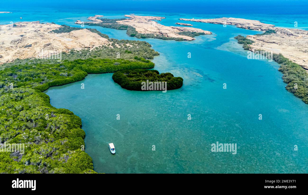 Arabie Saoudite, province de Jazan, vue aérienne de la mangrove dans l ...