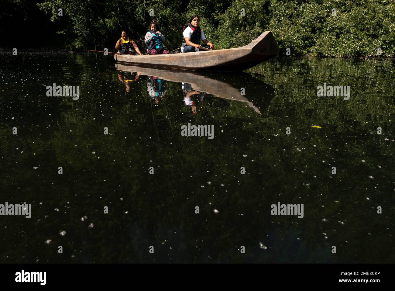Yurok tribal members lead a redwood canoe tour on the lower Klamath ...