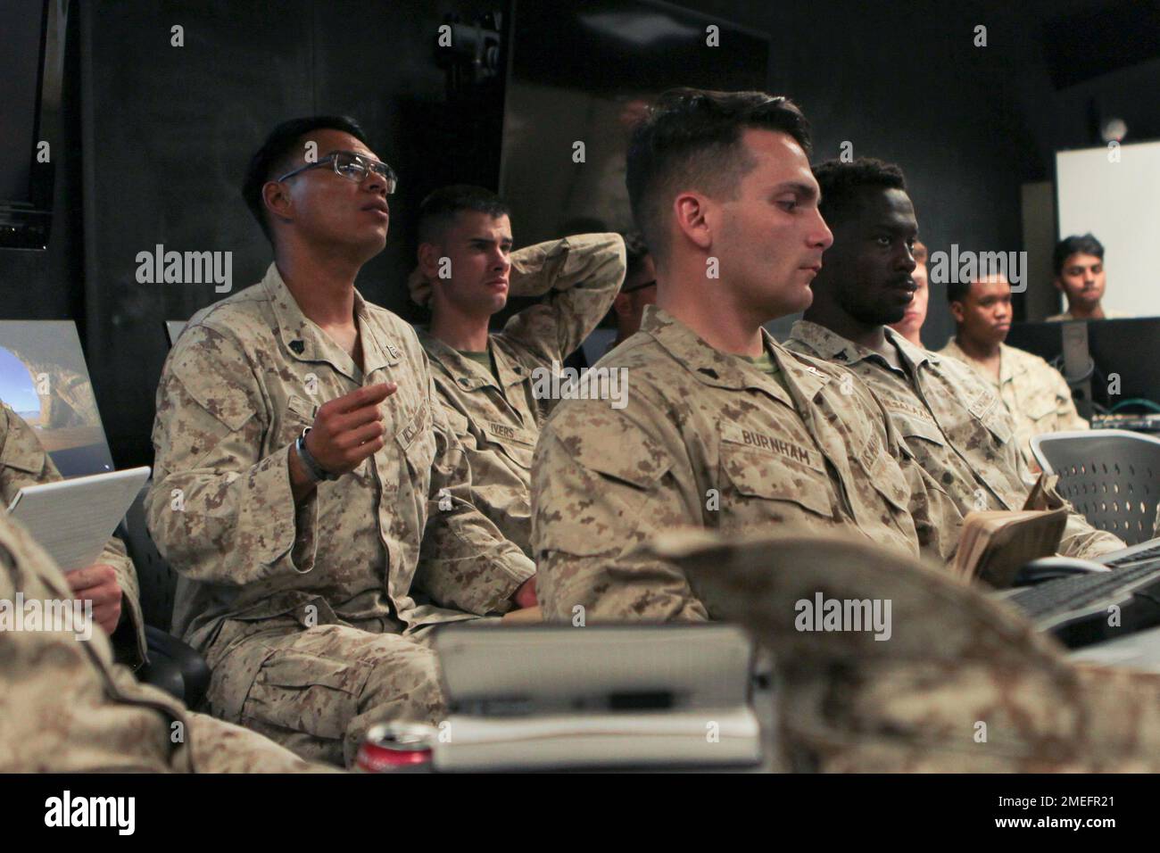 Coyote ttecg Banque de photographies et d’images à haute résolution - Alamy