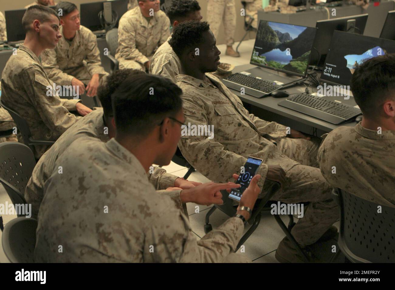 Coyote ttecg Banque de photographies et d’images à haute résolution - Alamy