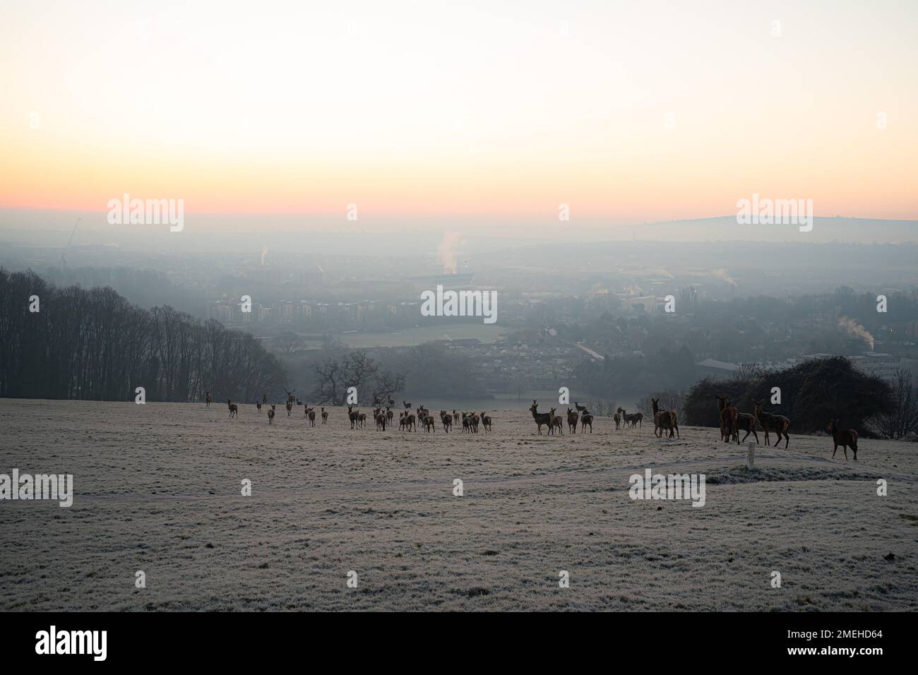 Ashton frost Banque de photographies et d’images à haute résolution - Alamy