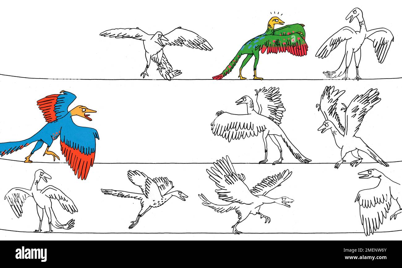 Archaeopteryx dinosaur Banque de photographies et d’images à haute ...