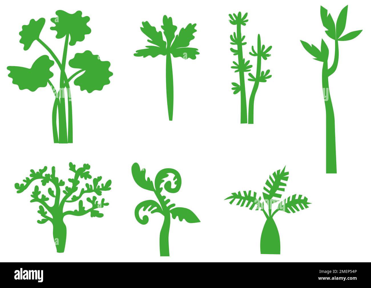 Prehistoric plants Banque d'images détourées - Alamy