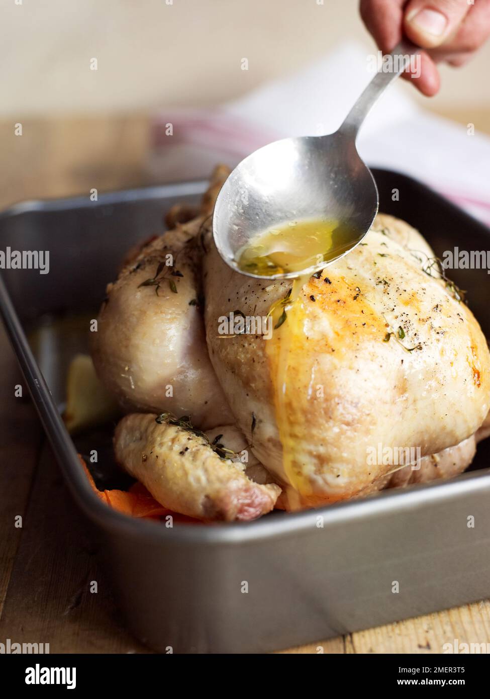 Poulet adulte Banque de photographies et d’images à haute résolution ...