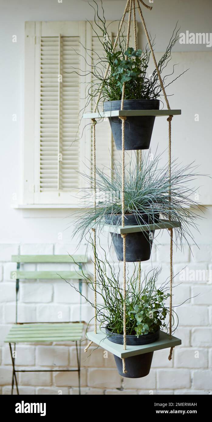 Fabrication de pot de plante mobile, eucalyptus gunnii, Festuca glauca ...