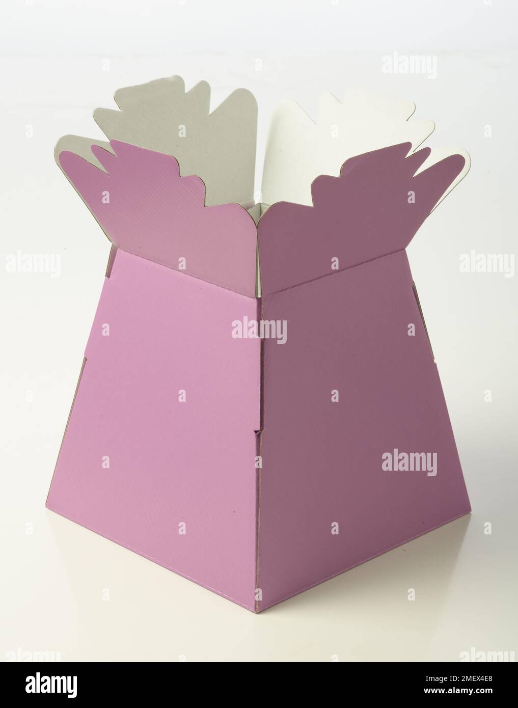 Vase en carton Banque de photographies et d’images à haute résolution ...